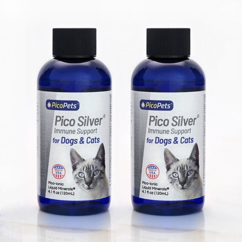 Pico Silver 2-Pack – PicoPets