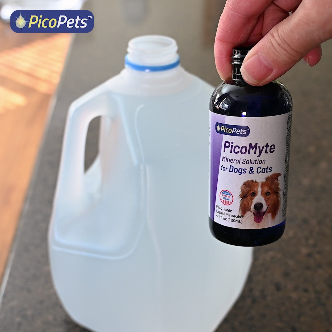 PicoMyte® by PicoPets